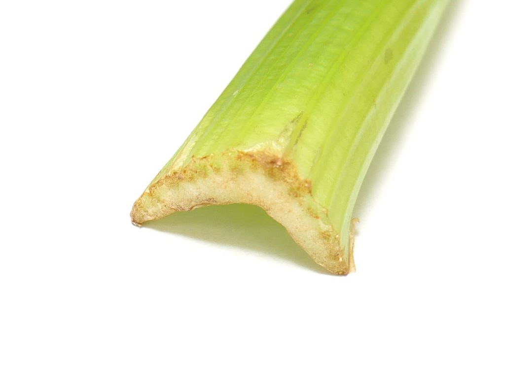 PACIFIC セロリスティック 1.13kg | コストコ通 コストコおすすめ商品の紹介ブログ